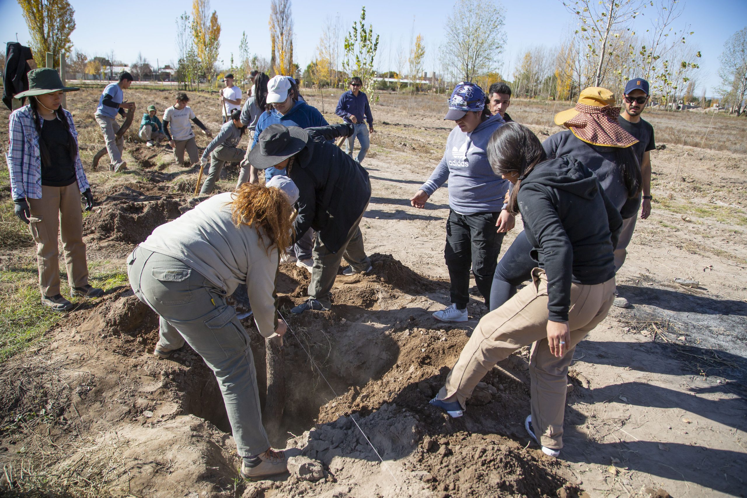 IESVU » TEC. SUP. EN AGRONOMÍA: Prácticas profesionales para el aprendizaje